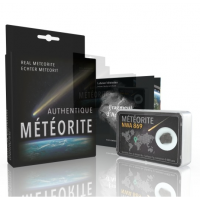 Météorite condrite taille M